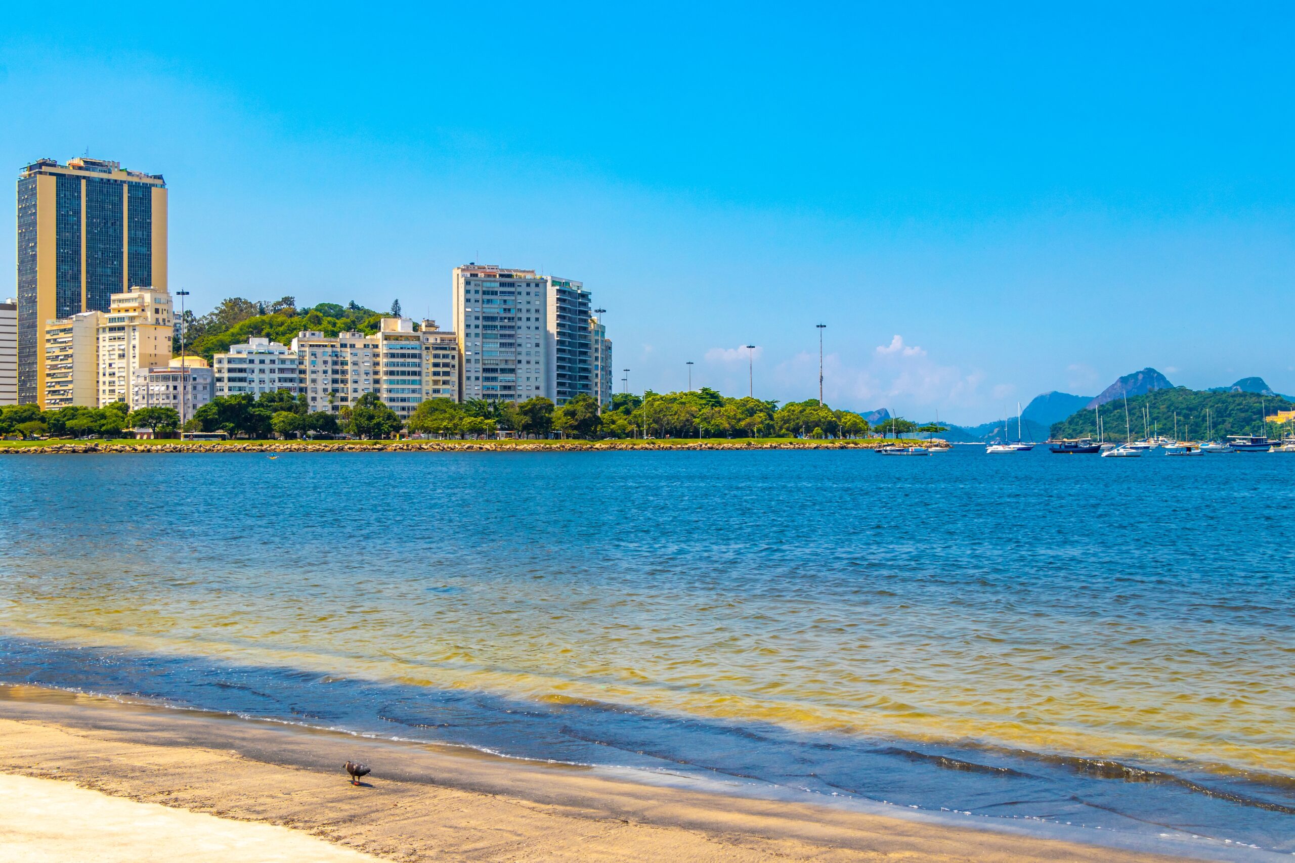 Microplásticos seguem na areia da Praia do Flamengo meses depois do ...